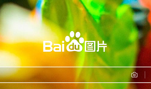 以图搜图，百度识图搜图大全_360新知