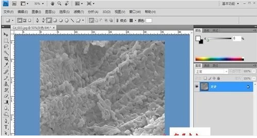 科研电镜图片上标尺的添加方法经验分享_360新知