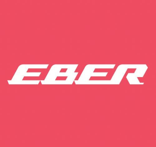 EBER图册_360百科