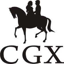 CGX图册_360百科