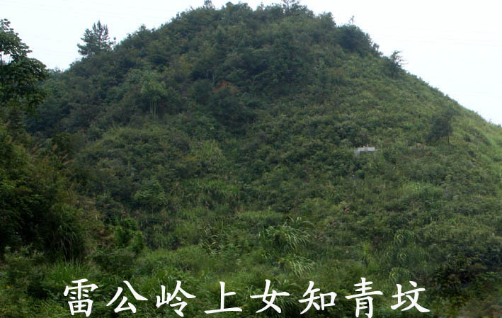 雷公岭图册360百科
