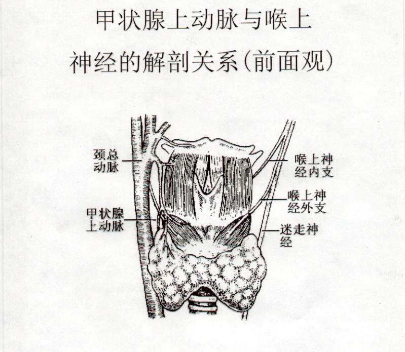Tsh 360 tsh-360