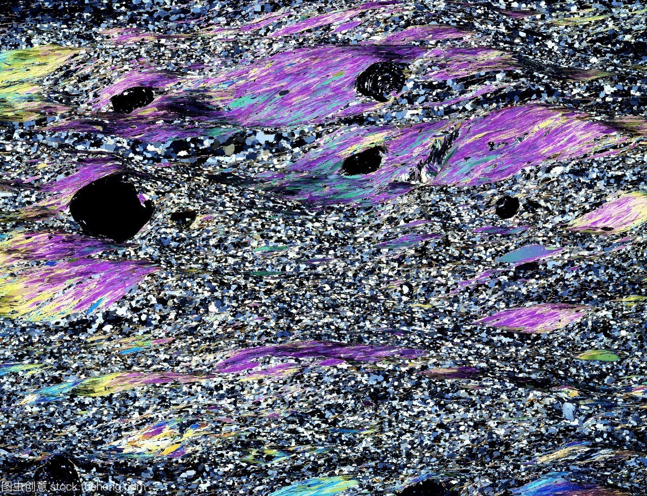 云母鱼图册_360百科