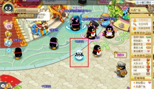 怎么领养qq宠物_360新知