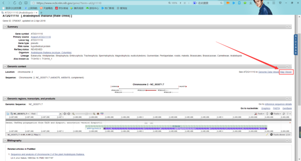如何在NCBI上查找某一基因序列及其启动子_360新知