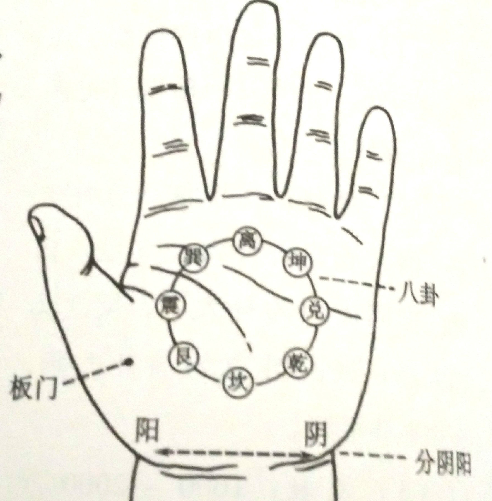 内八卦图册360百科