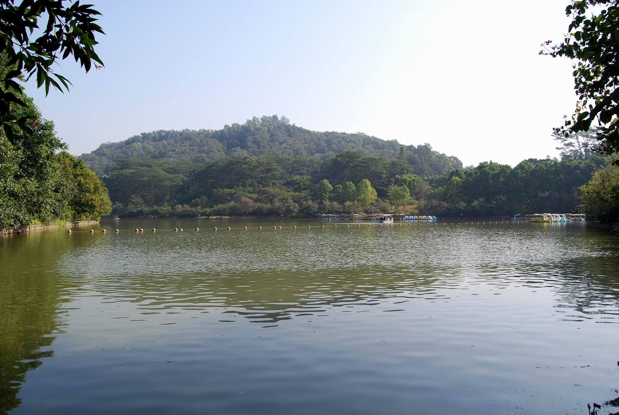 莲花山公园图册360百科