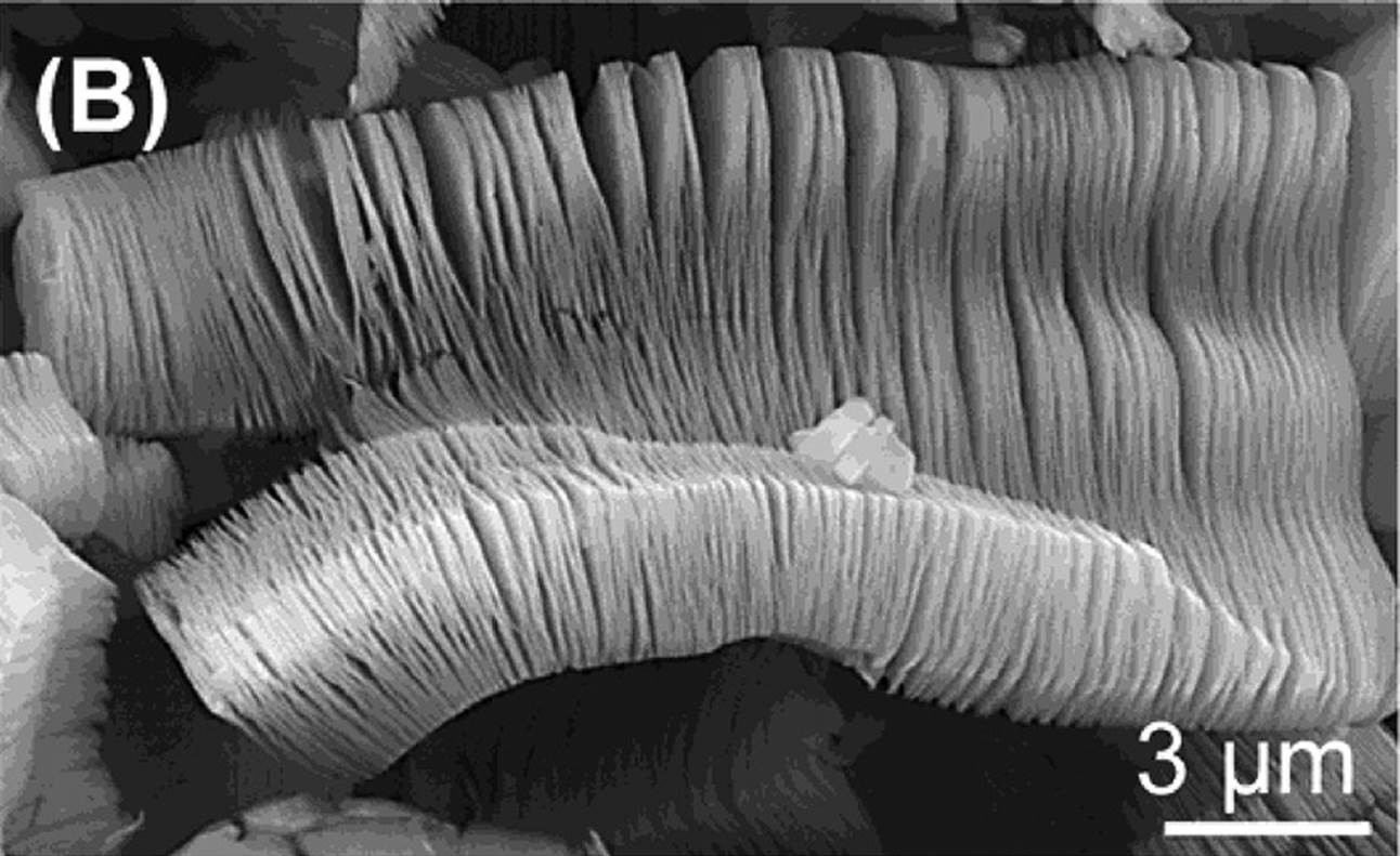 MXenes图册_360百科