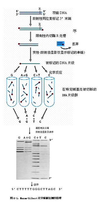 化学降解法图册_360百科