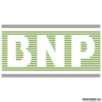bnp图册_360百科