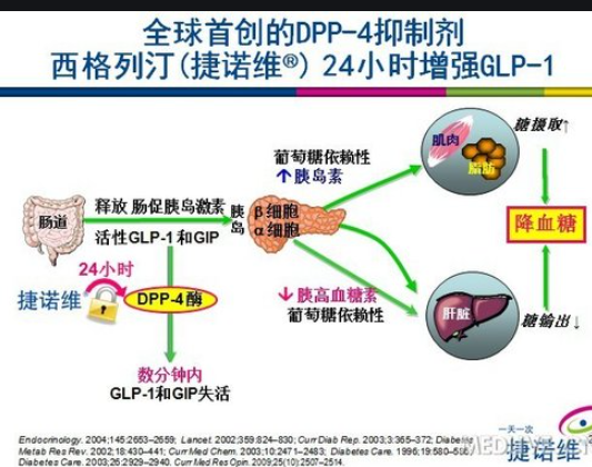 DPP-4抑制剂图册_360百科