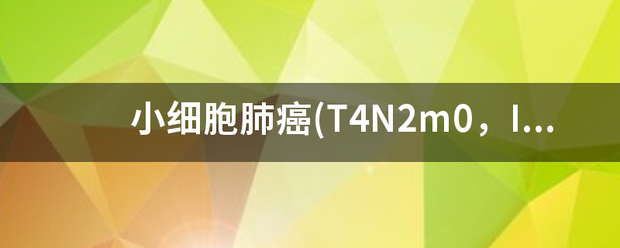 小细胞肺癌(T4N2m0，IIIb期，局限期）是什么意思 – 960化工网问答