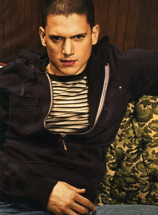 scofield图册_360百科