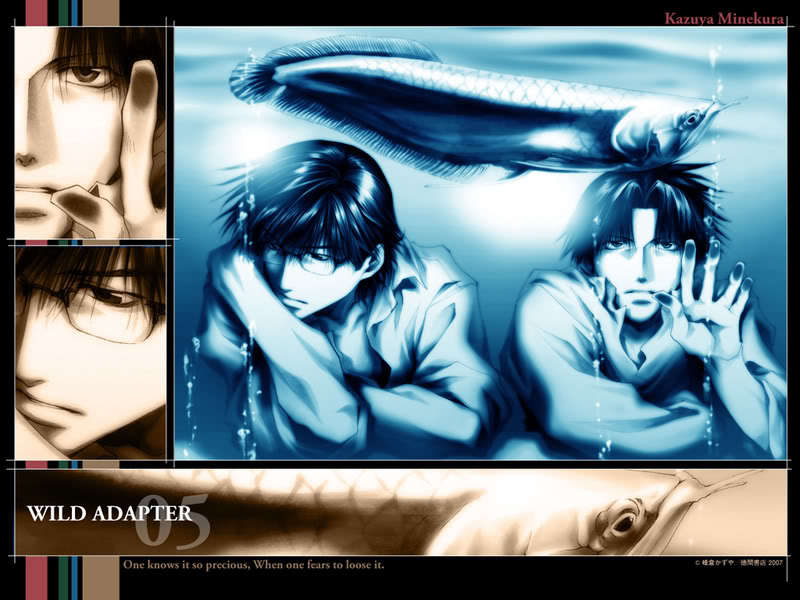 wild adapter图册_360百科