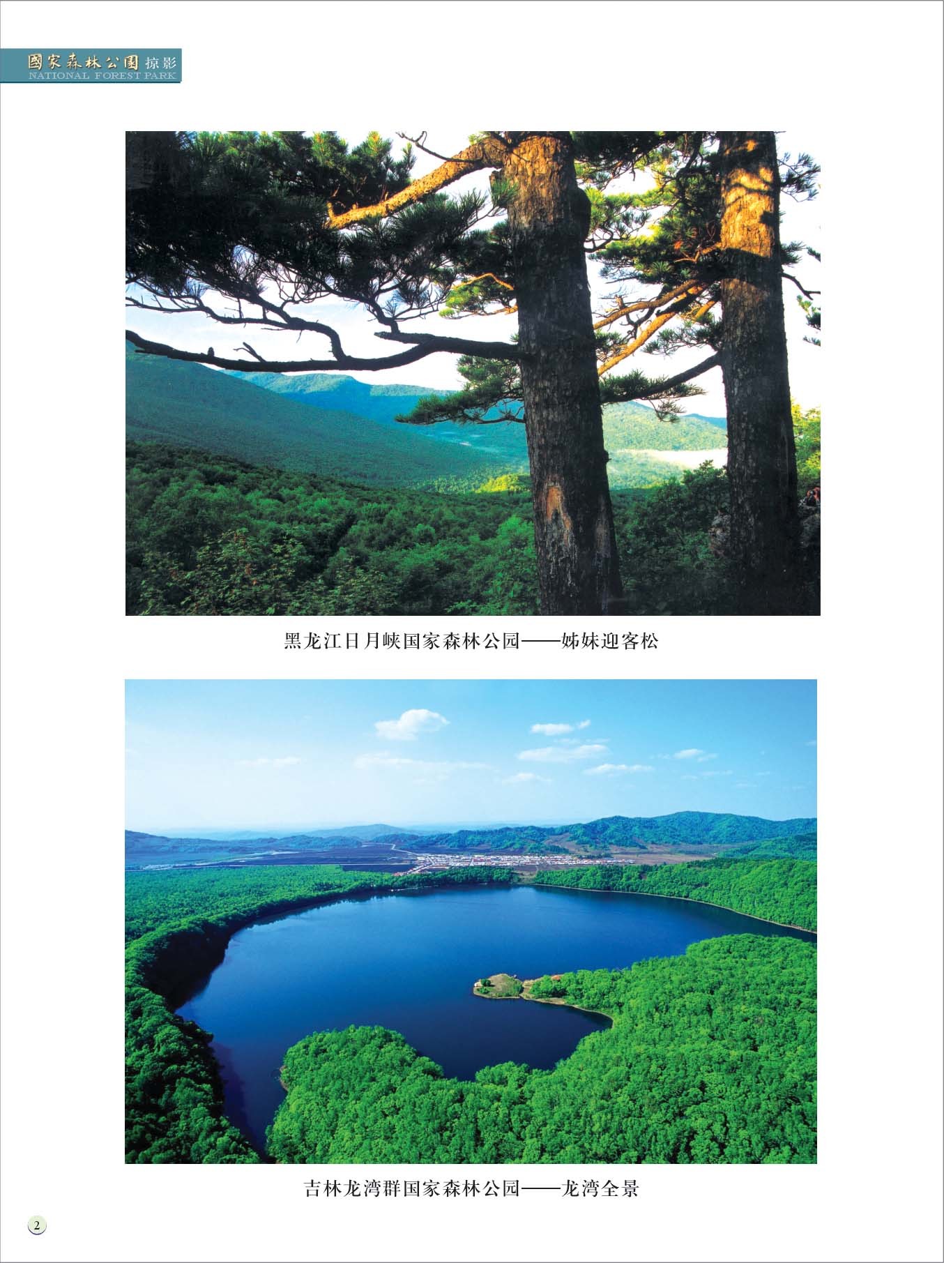 国家森林公园理论与实践图册360百科