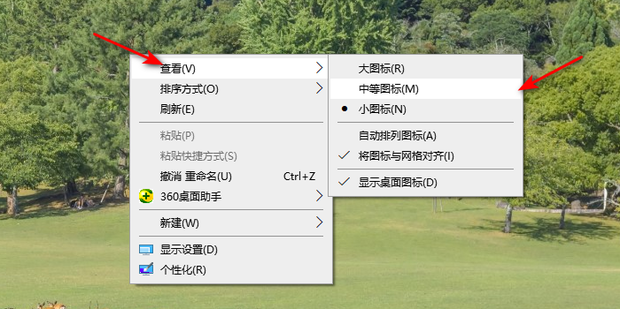 怎么调整桌面图标大小360新知