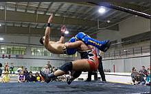 powerbomb图册_360百科