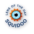 Squidoo图册_360百科