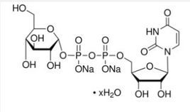 udpg图册_360百科