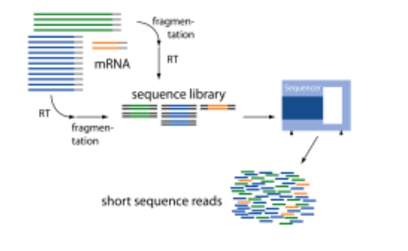 RNA-seq图册_360百科