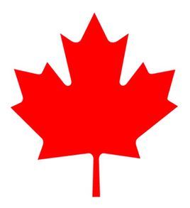 加拿大枫叶图册_360百科