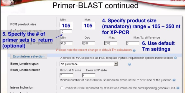NCBI中primer-blast使用方法_360新知