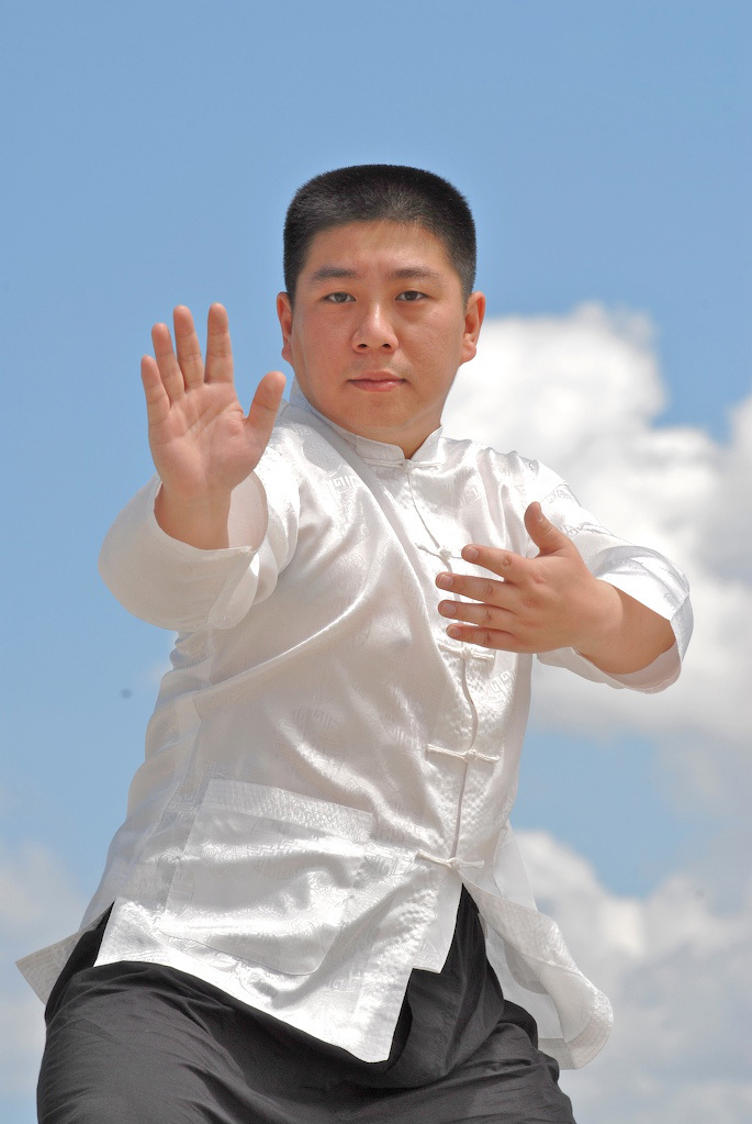 太极少帅图册360百科