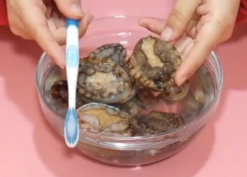 如何清洗鲍鱼图解_360新知