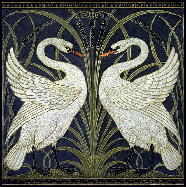 SWAN图册_360百科