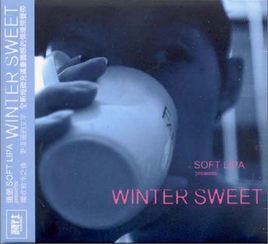 Winter Sweet图册_360百科