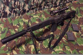 英国李.恩费尔德AWM/P狙击步枪图册_360百科