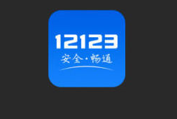 交管12123怎么缴纳违章罚款_360新知