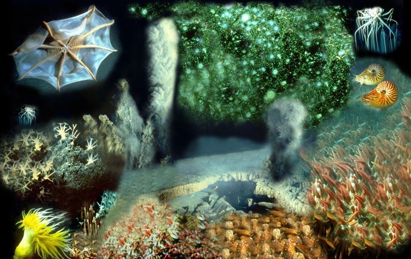 BEANNE贝霓图册_360百科