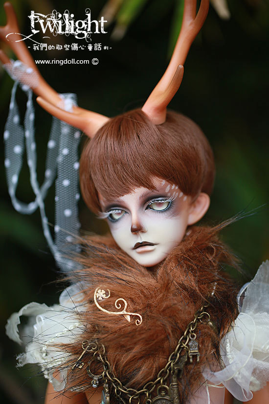 ringdoll图册_360百科