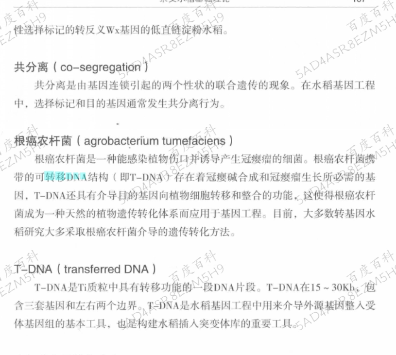 T-DNA图册_360百科