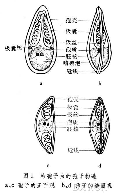 水生生物学图册360百科