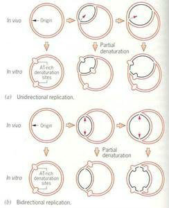 θ型复制图册_360百科