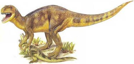 天山龙图册_360百科