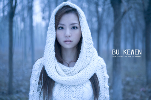 DEAR JANE图册_360百科